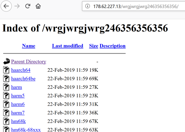 Mirai Botnet Variants Targeting New Processors and Architectures Mirai Botnet Variants Targeting New Processors and Architectures